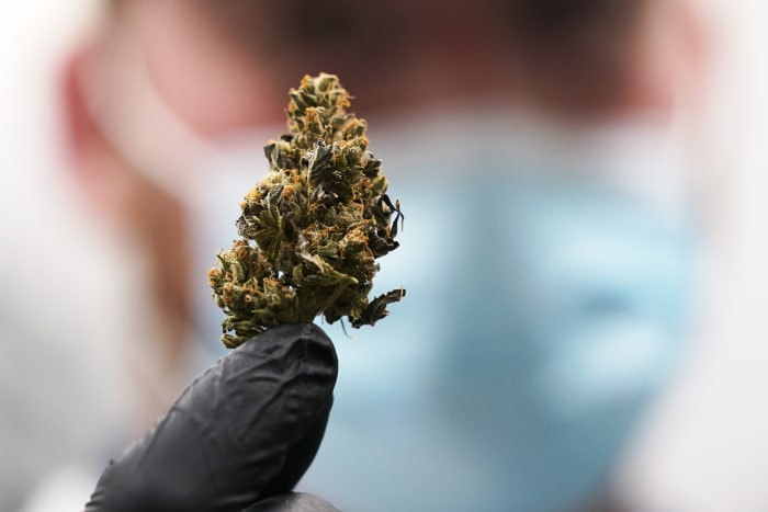 Virginia marijuana legalization timetable has many confused