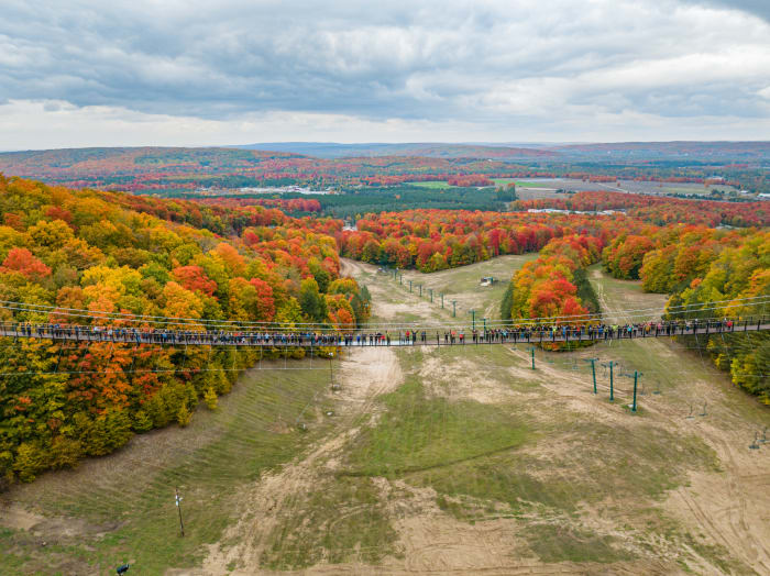 World’s longest timber-towered suspension bridge opens in Michigan: How ...