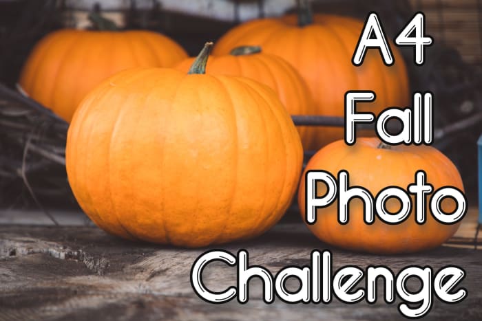 A4 Fall Photo Challenge: Show us your photos!