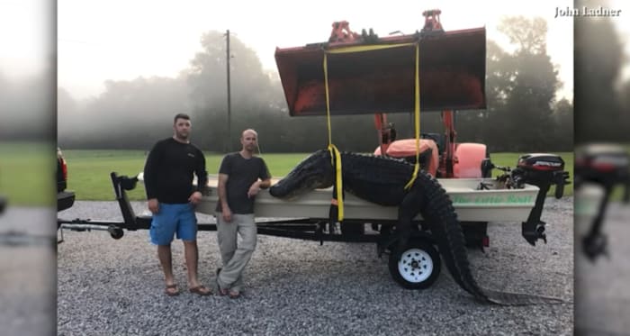 ‘Need a bigger boat:’ Hunters reel in massive one-eyed gator
