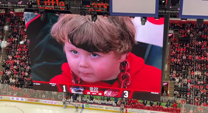 WATCH: Crowd goes wild for George on jumbotron at his first Red Wings ...