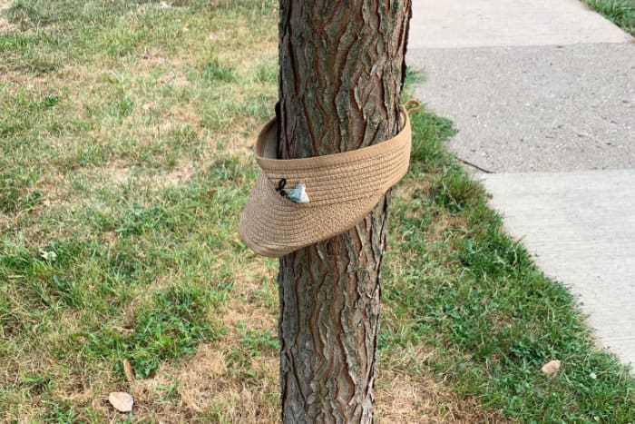 Ann Arbor woman hilariously documents people’s lost things on Twitter