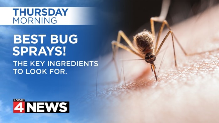 Best Bug Sprays & The Best of Detroit Revealed!