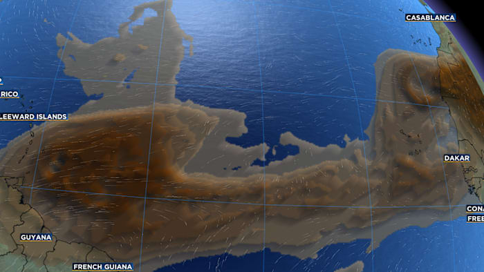 Iron is critical to plankton, which make about half of Earth’s oxygen ...