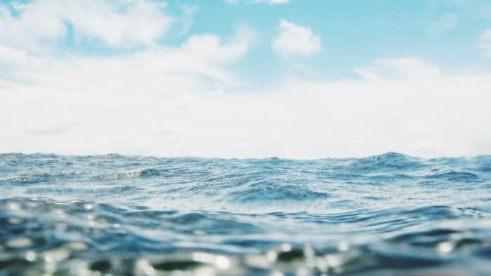 Florida woman treads water for 12 hours after falling out of canoe: report