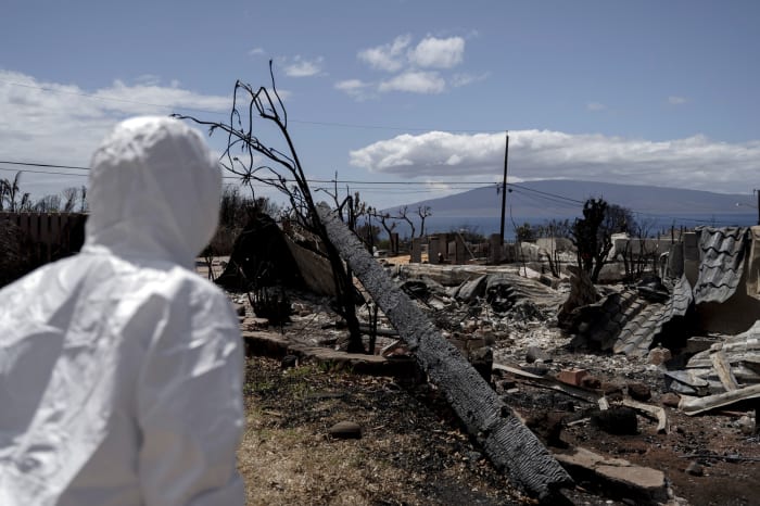 Lahaina family finds heirloom in rubble of their home on first visit ...