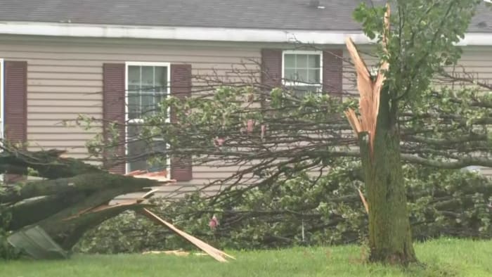 MIPics: Send in photos of storm damage, flooding in Metro Detroit