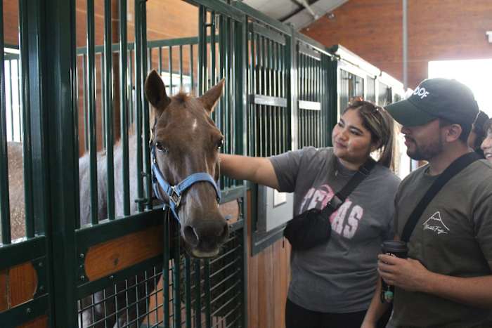 A Purr-fect Day: Houston SPCA’s Spring Open House draws hundreds of ...
