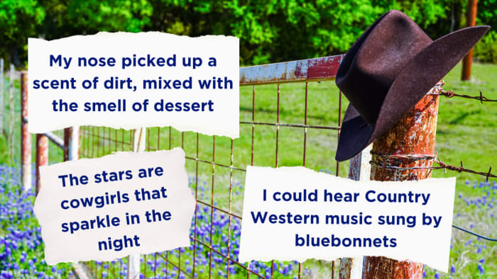 My Magical Rodeo Garden: Fourth grade authors honored for their ...