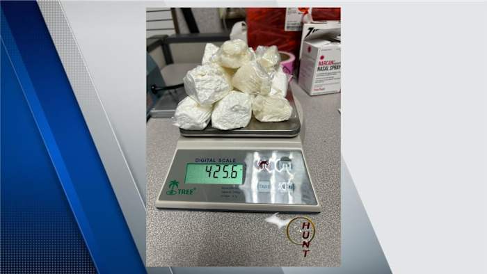 Michigan man arrested with nearly pound of cocaine following drug bust