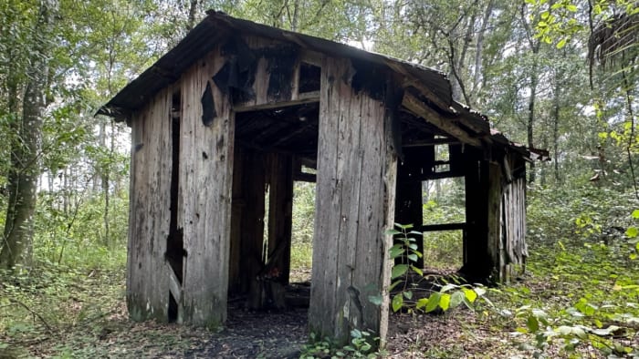 This rotting Florida shack holds a deadly secret. Here’s the full story