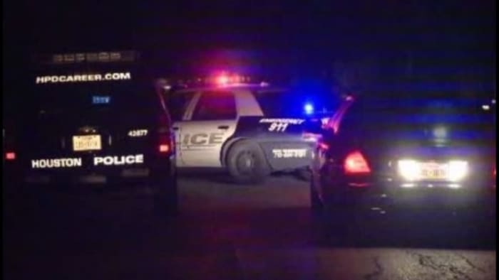Woman Dies After Pickup Slams Into Tree Bursts Into Flames