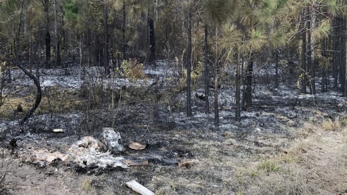 15-acre wildfire nearly contained near Clay-Putnam county line
