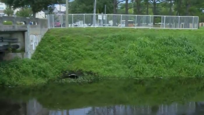 Pollution in Central Florida reaches Everglades through system of ...