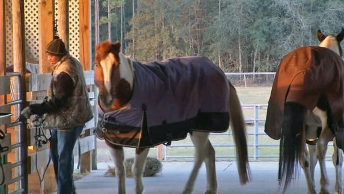 Helping plants, animals brace for cold