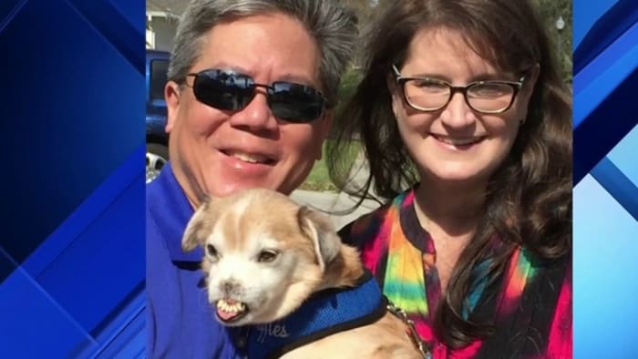 Sniffles, dog that lost his nose, finds new home after being adopted