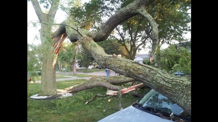 Storms leave damage across metro Detroit
