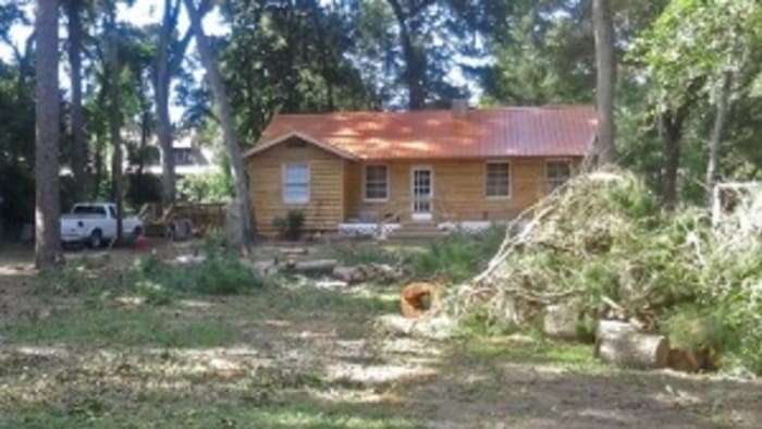 14-year-old boy dies after falling from tree