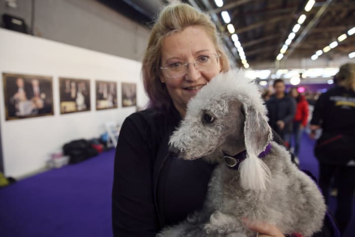 In the Pink: Border collie wins Westminster agility contest