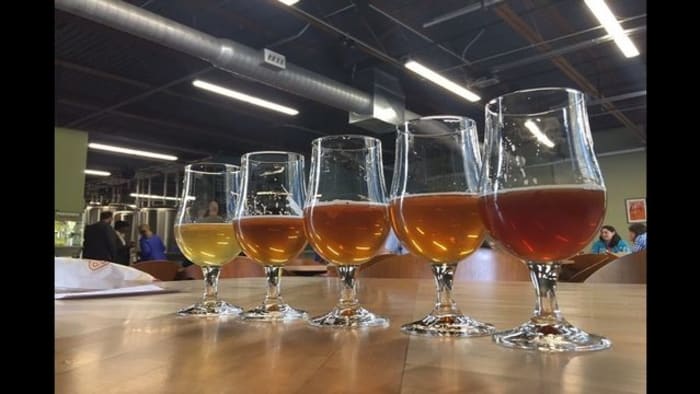 New Islandview brewery Brewery Faisan opens its doors