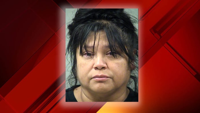 Woman accused of beating boyfriend with rubber mallet, trying to cut ...