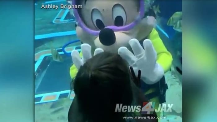 Mickey takes a dive at Disney to entertain parkgoers
