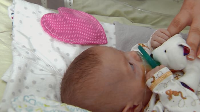 Hand-sewn hearts given to NICU babies, mothers at Florida Hospital