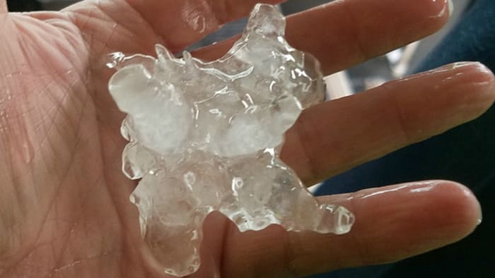 Horses run for cover as spiked hail falls in St. Johns County