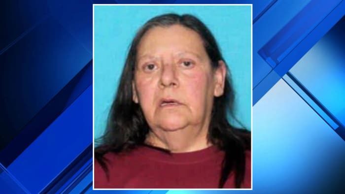 St Clair Shores Police Search For Missing 66 Year Old Woman