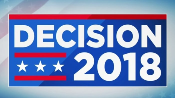 Election 2018: Michigan candidates for governor statements