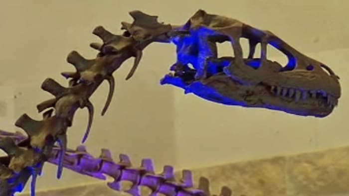 Church uses dinosaurs to teach kids creationism