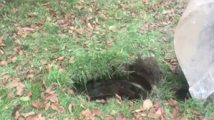 Human skeletal remains found in sewer at Stoepel Park on Detroit's west ...