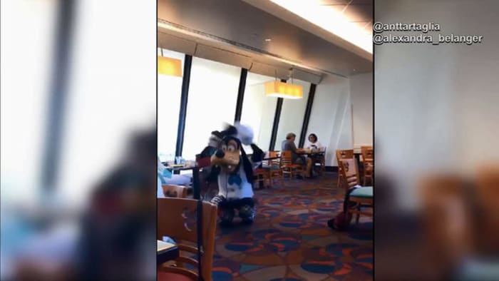 Dancing Goofy entertains Disney guests with epic dance moves