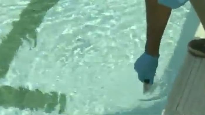 CDC study finds many public swimming pools test positive for E. coli