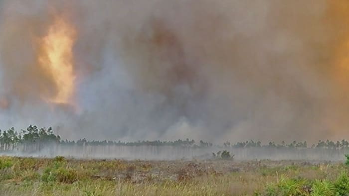 County Line Fire grows; 65% contained