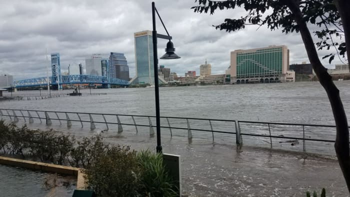 Woman pleads guilty to hurricane disaster assistance fraud