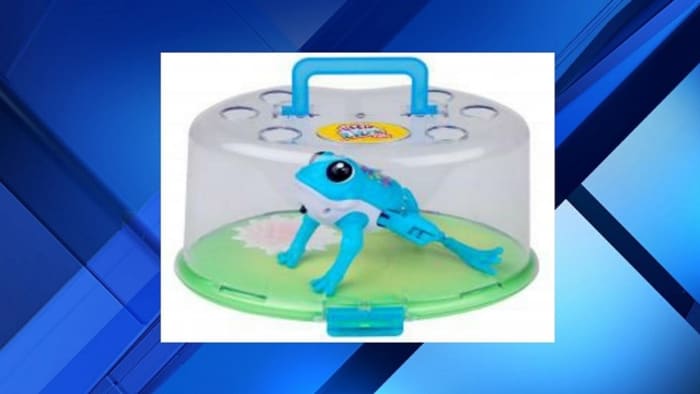 Little Live Pets Lil Frog recalled due to chemical, injury hazard