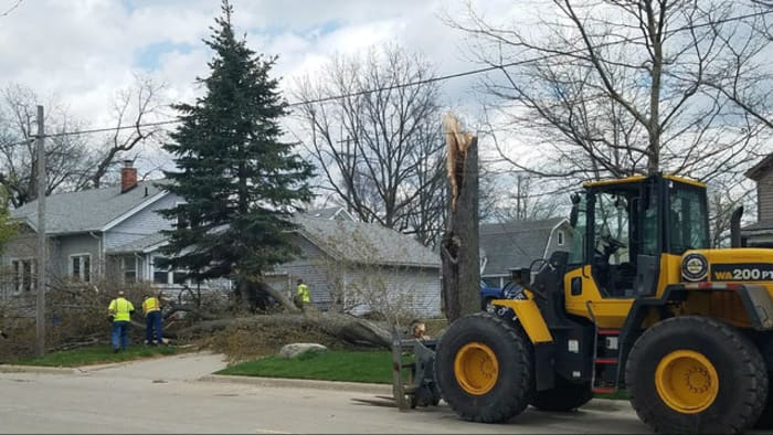 Postal worker in hospital after being hit by falling tree in South Lyon