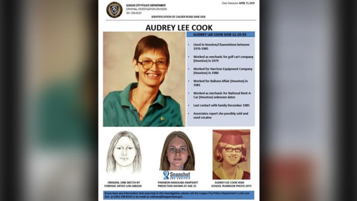 Who was Audrey Lee Cook?