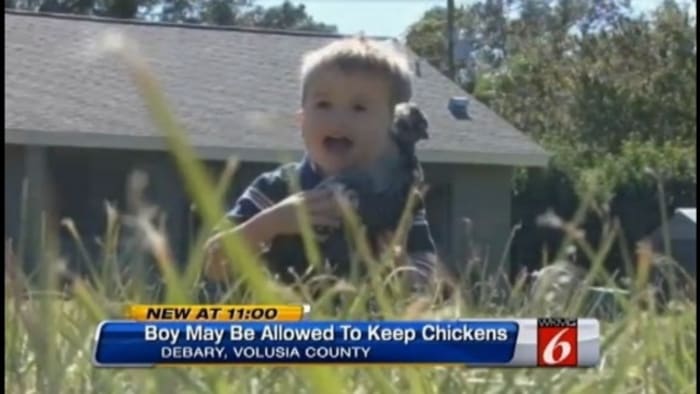Autistic boy will likely be allowed to keep chickens