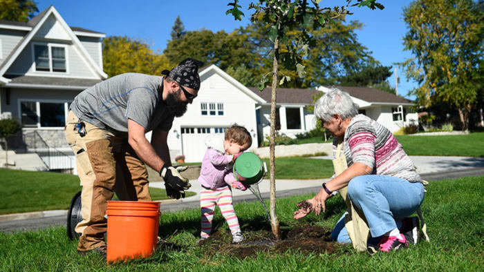 Where to get free trees on Arbor Day