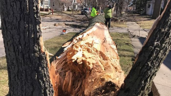 DTE Outage Map: More than 600K without power in Metro Detroit