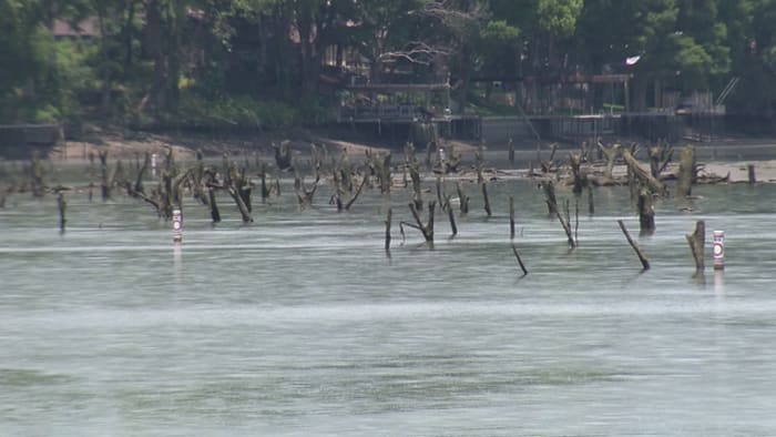 Partial dam failure causes Lake Dunlap water level to drop dramatically