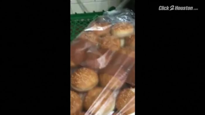 Video: Rodents spotted running through bun pallet at Delaware Burger King