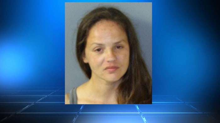 Deputies: Florida woman hits man with frying pan, twice