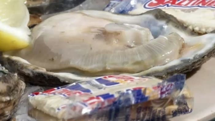 Warning issued about raw shellfish, salt water due to fatal bacteria