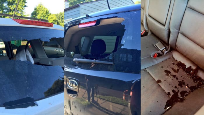 Windows smashed, items stolen from multiple vehicles in Ferndale