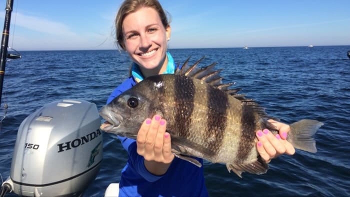 Red snapper, goliath grouper, tripletail, sheepshead management ...