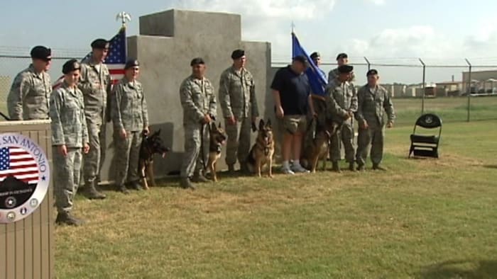 Retired military working dogs honored