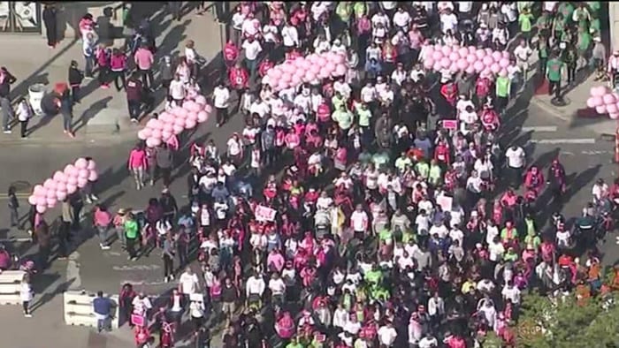 Hundreds gather to walk 60 miles in 3 days